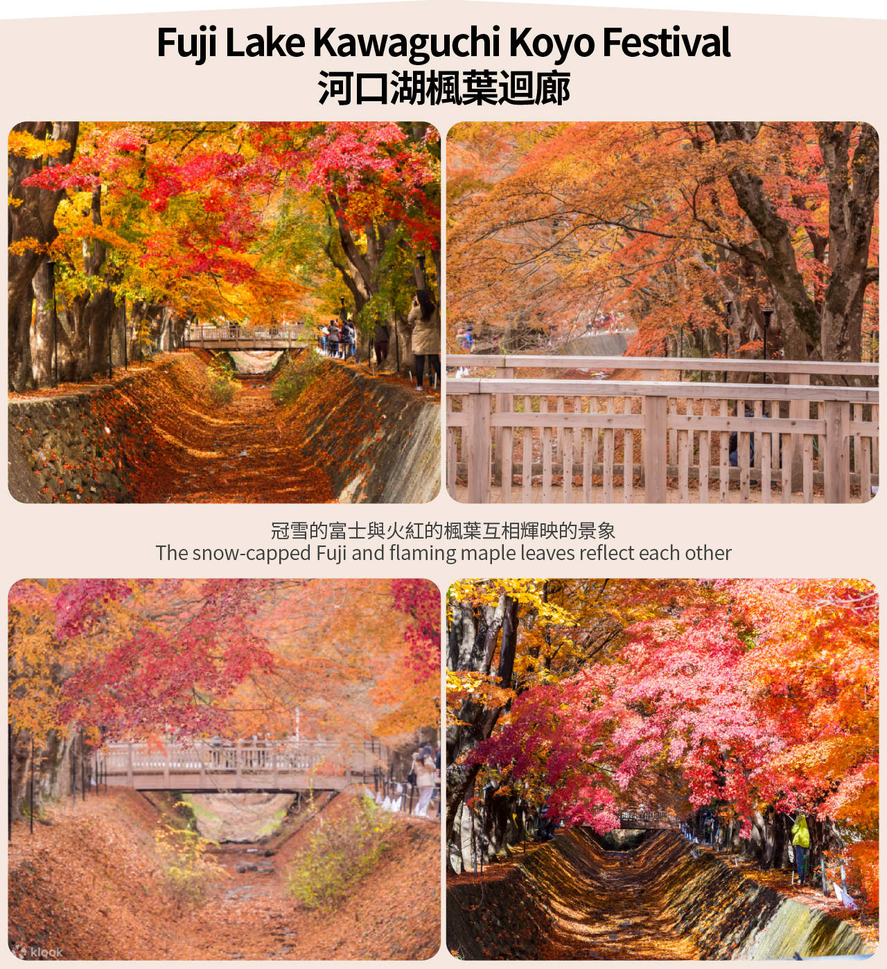 [Mount Fuji Bicycle Cycling Experience Tour] Yamanakako Cycling ...